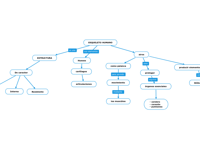 ESQUELETO HUMANO - Mind Map
